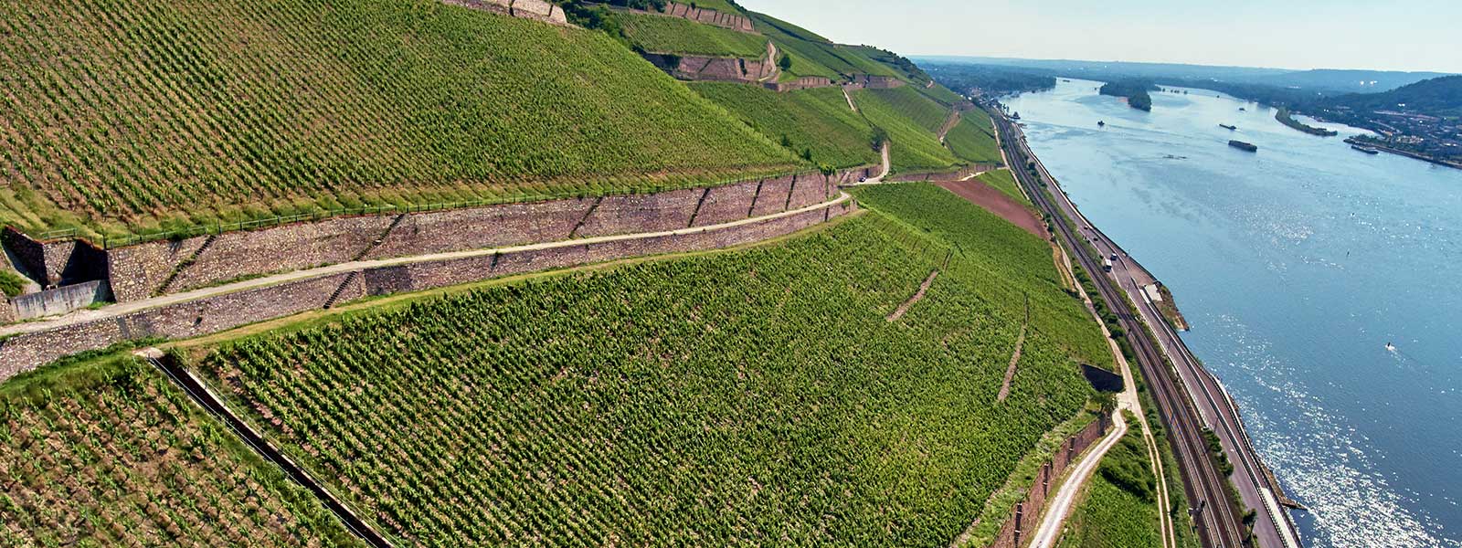 Weingut Rheingau & Weinbar Frankfurt, Wiesbaden - Balthasar Ress DE