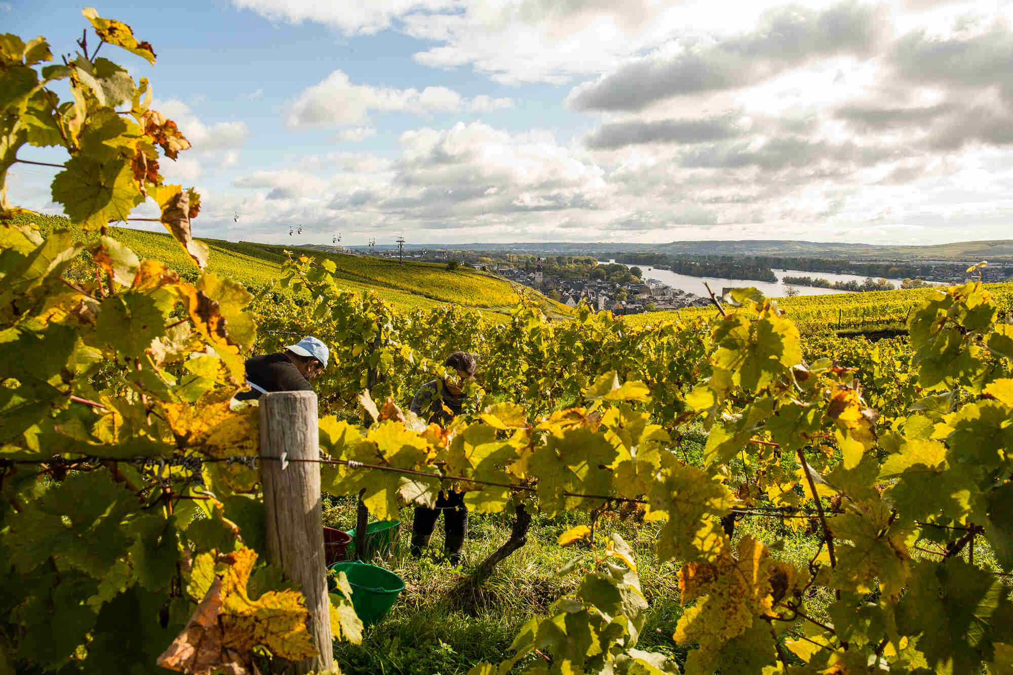 Weinwanderung - So schmeckt der Herbst